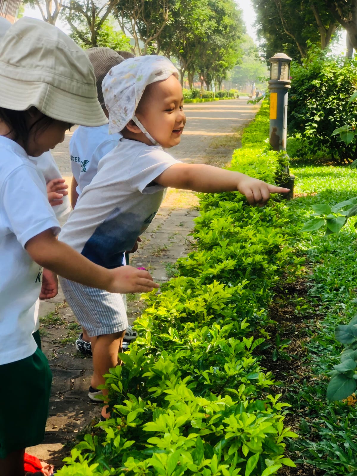 Pre-Nursery Nature Exploration - Kinderland Vietnam